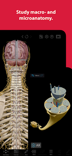 Visible Body Suite - download the latest version 5.06.016 APK for ...