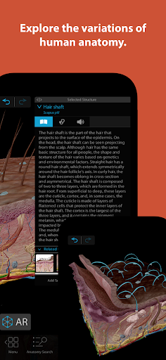 Visible Body Suite - download the latest version 5.06.016 APK for ...